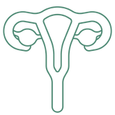 V-Spot Vaginal Probiotic Suppository | Best Probiotic Pessary
